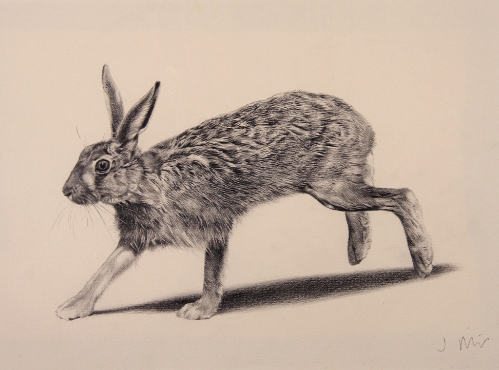 Jonathan Pointer - Sporting & Natural History Artist